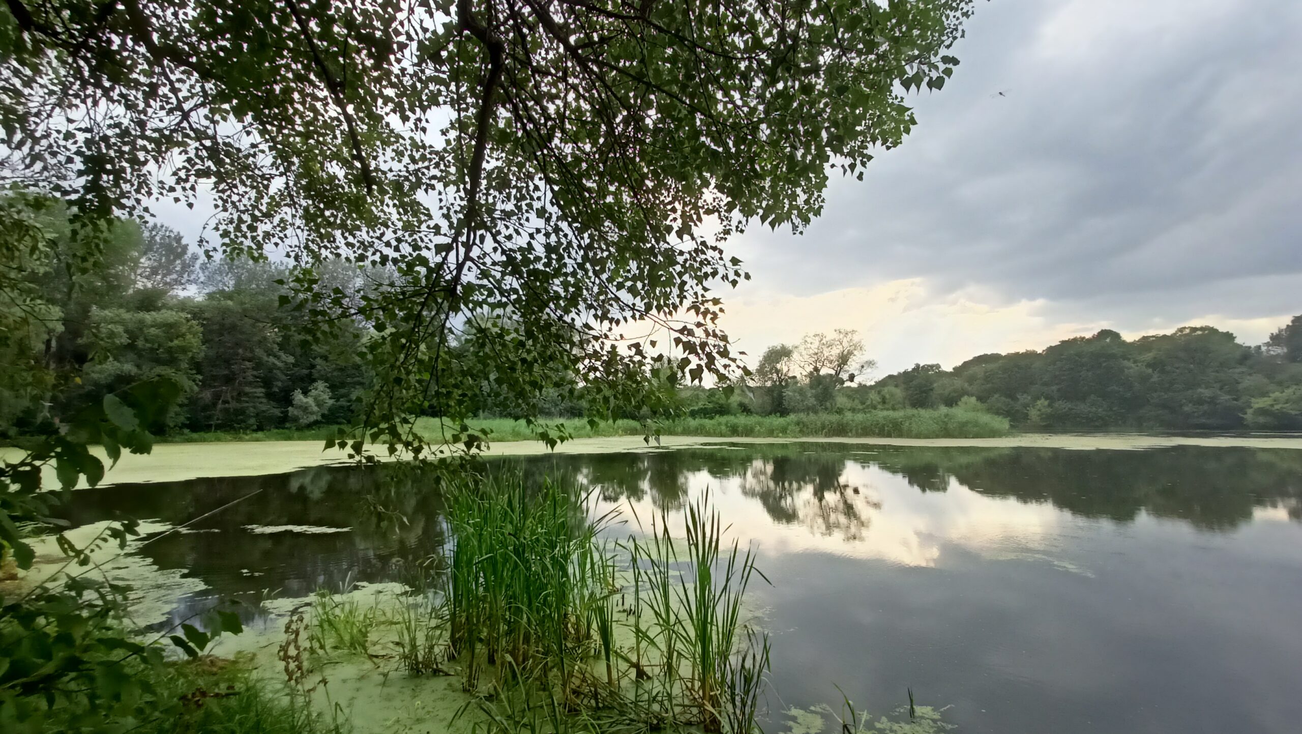 TESTIMONIALS - ASSIST-UKRAINE